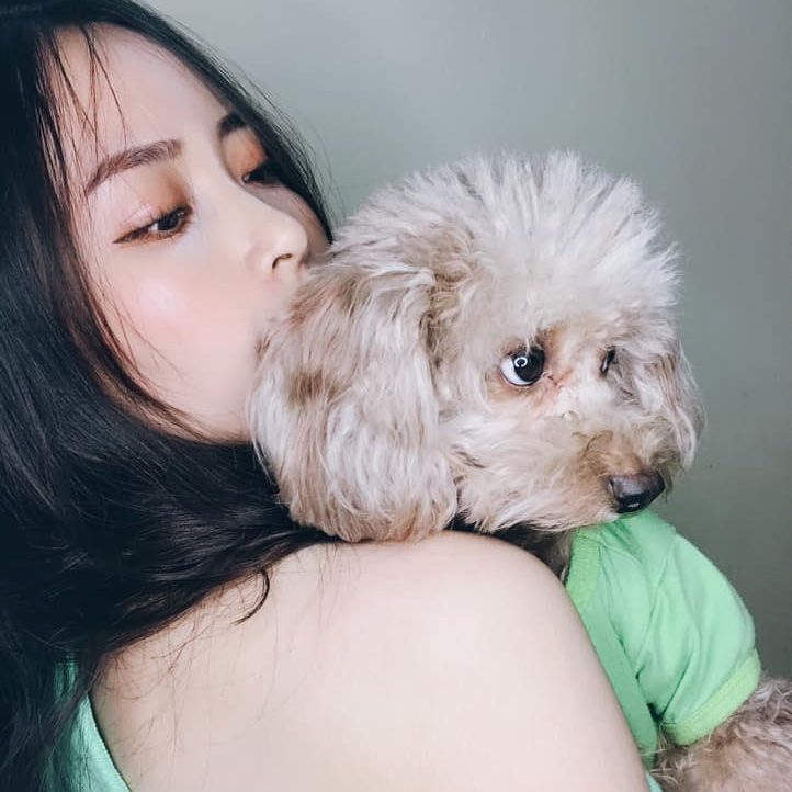 Chùm 50+ ảnh girl xinh với những chú chó (dogs) cute nhất - Ảnh gái ...